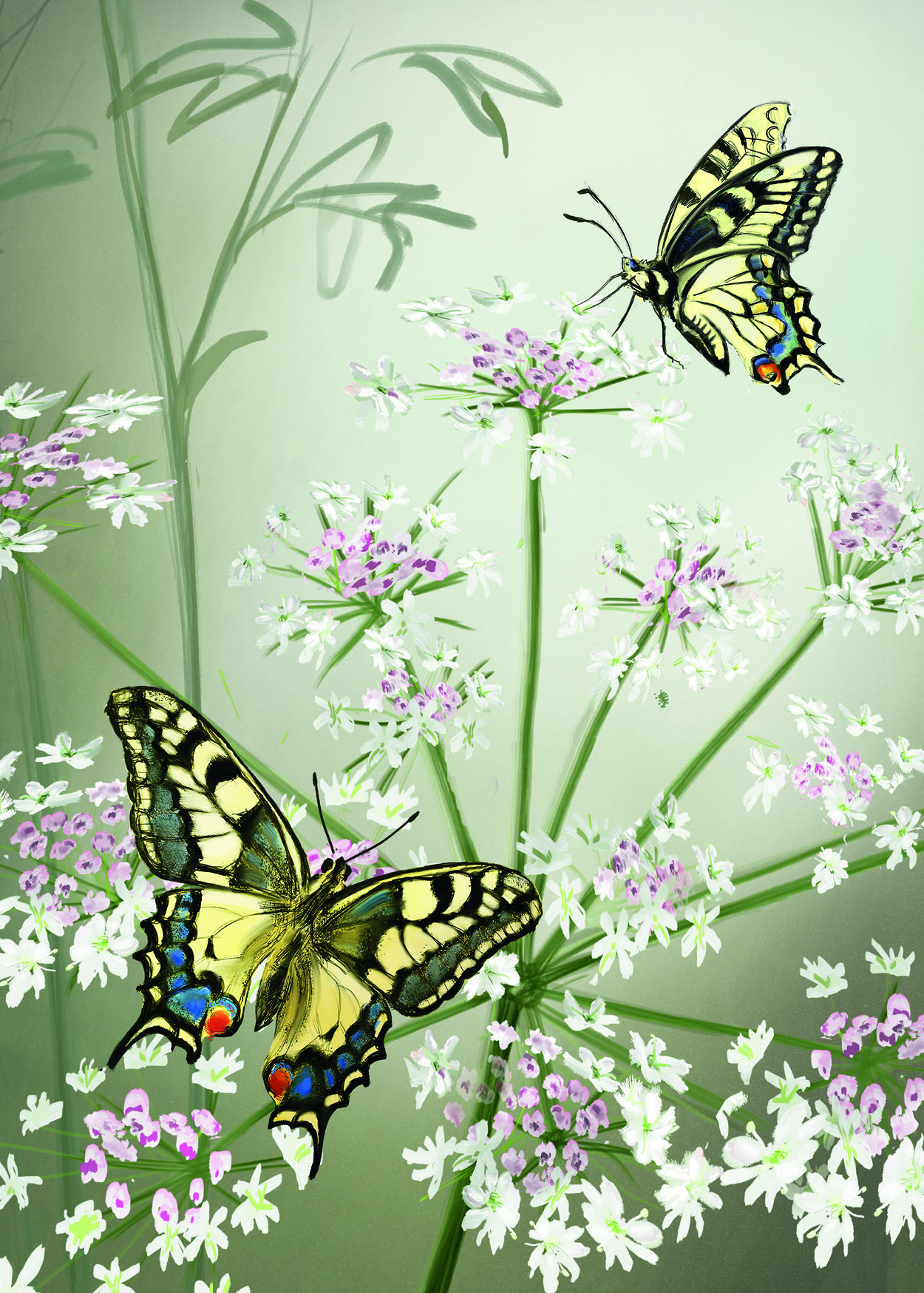 B48-Swallowtails - Two Bad Mice